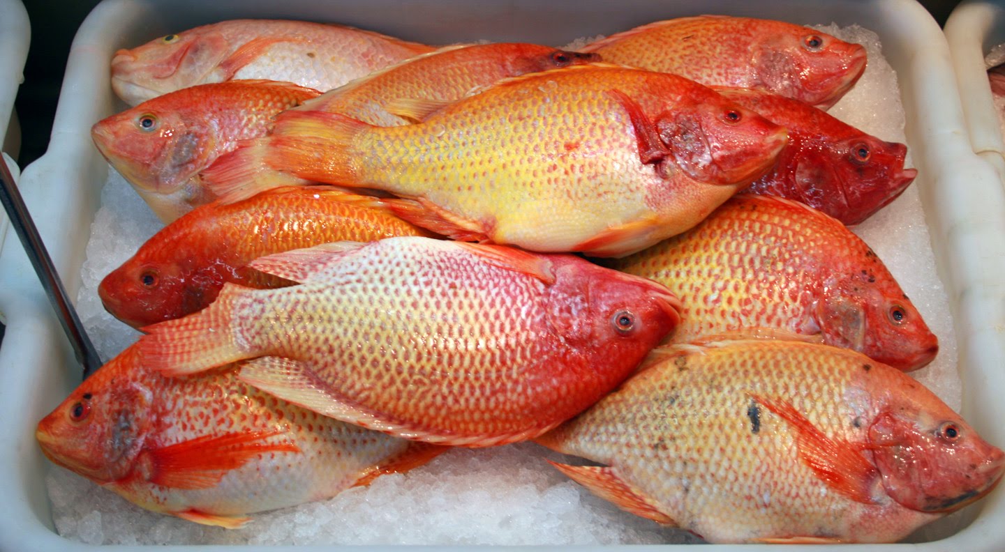 Tips memilih ikan segar ~ Rita Hasibuan