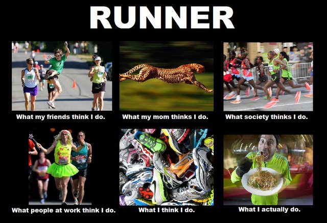 totallyawesometeam3: Memes