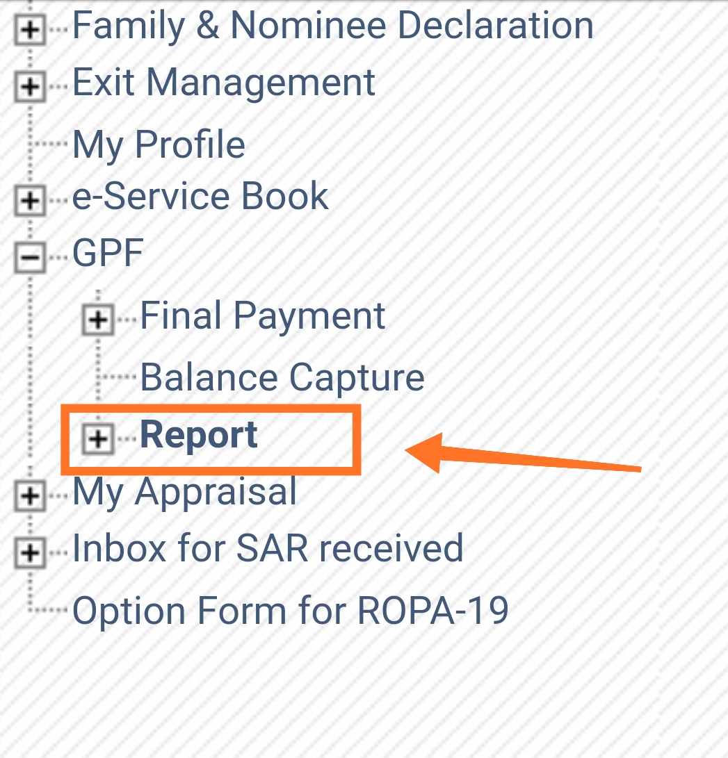 GPF statement download