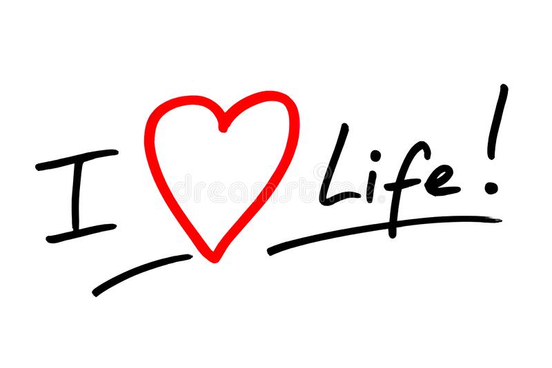 Life and Times of Bess and Bill