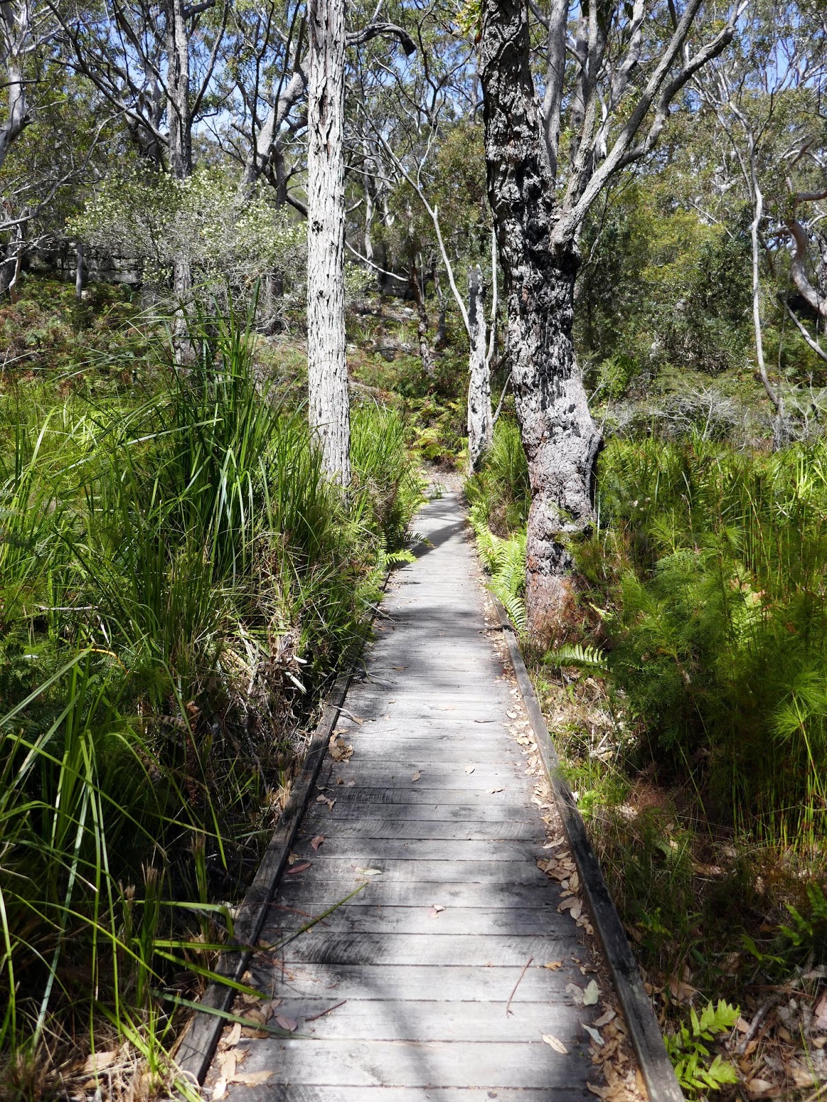 All The Gear But No Idea: Beecroft Head, Gosangs Tunnel & Mermaids Inlet