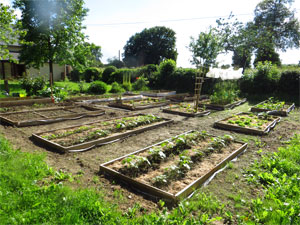 Vert Naturellement: Conception de jardin et potager naturel