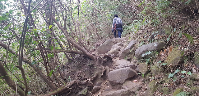 (開聞岳) Mt. Kaimon Hike