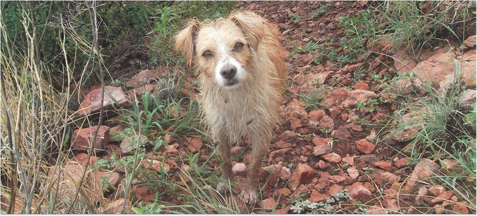 PACO RAPTOR Never Stop Man: febrero 2013