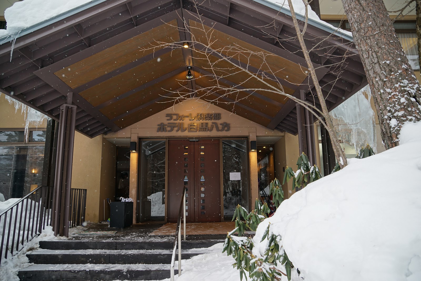 La Foret Club 白馬八方 - Tiiu Rice