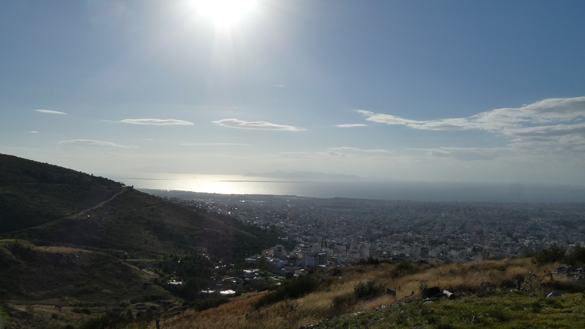 ΑΙΣΘΗΤΙΚΟ ΔΑΣΟΣ ΚΑΙΣΑΡΙΑΝΗΣ