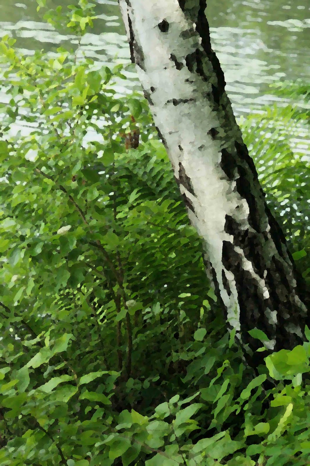 Divine Nature: "Some Trees," A Poem by John Ashbery