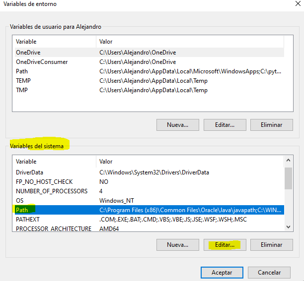 Variable de entorno Python