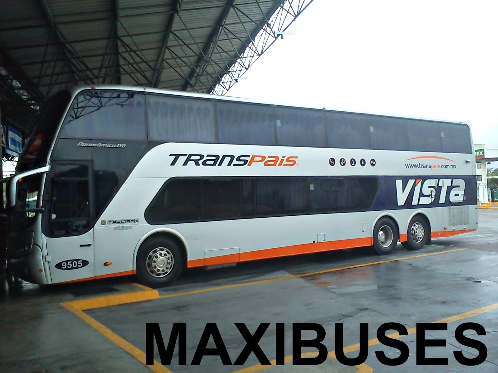 MAXIBUSES: TRANSPAÍS - VISTA