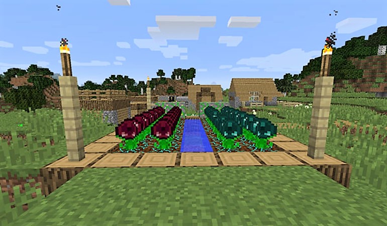 How to make a vegetable garden in Minecraft