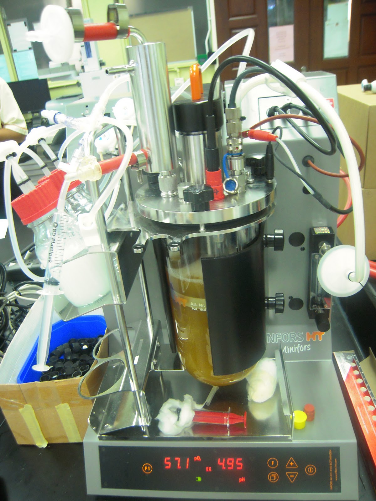 The Fermentation With Bioreactor: Day 3 with Minifors-4