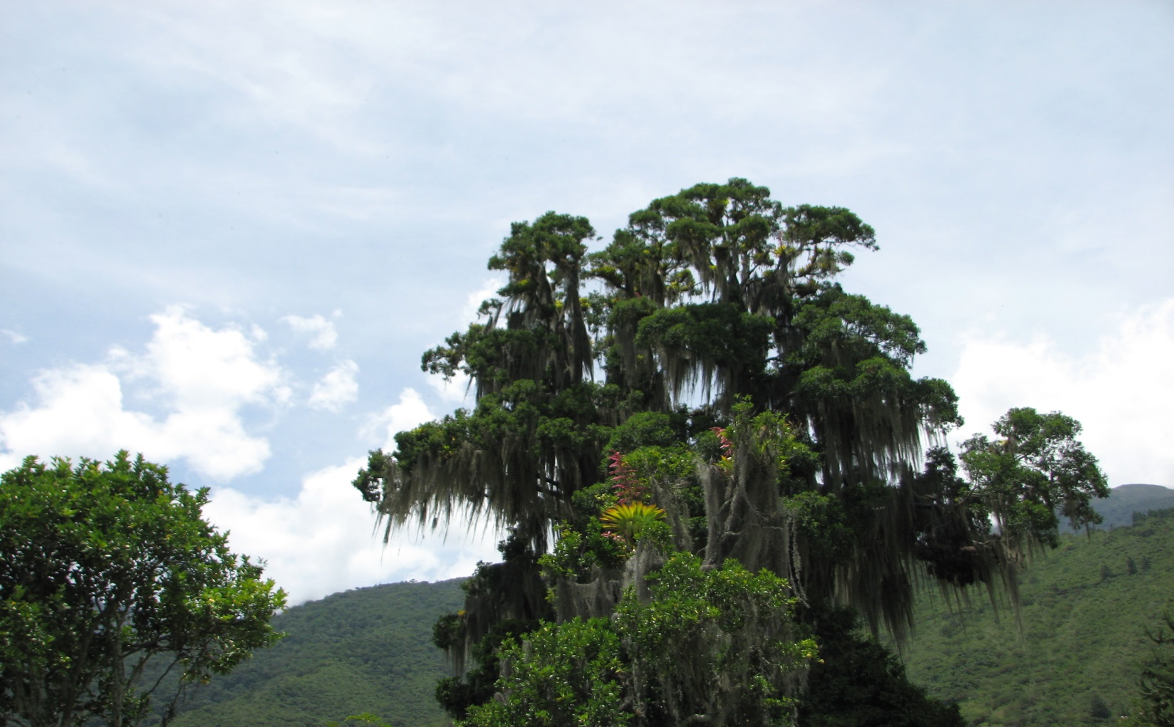 Visitando al Pueblo de Tabay
