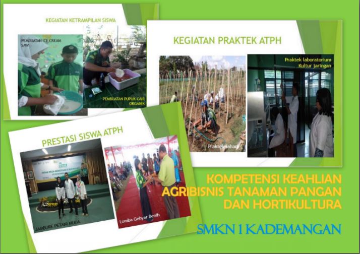 TIPS MEMILIH JURUSAN DI SMK – SMKN 1 Kademangan
