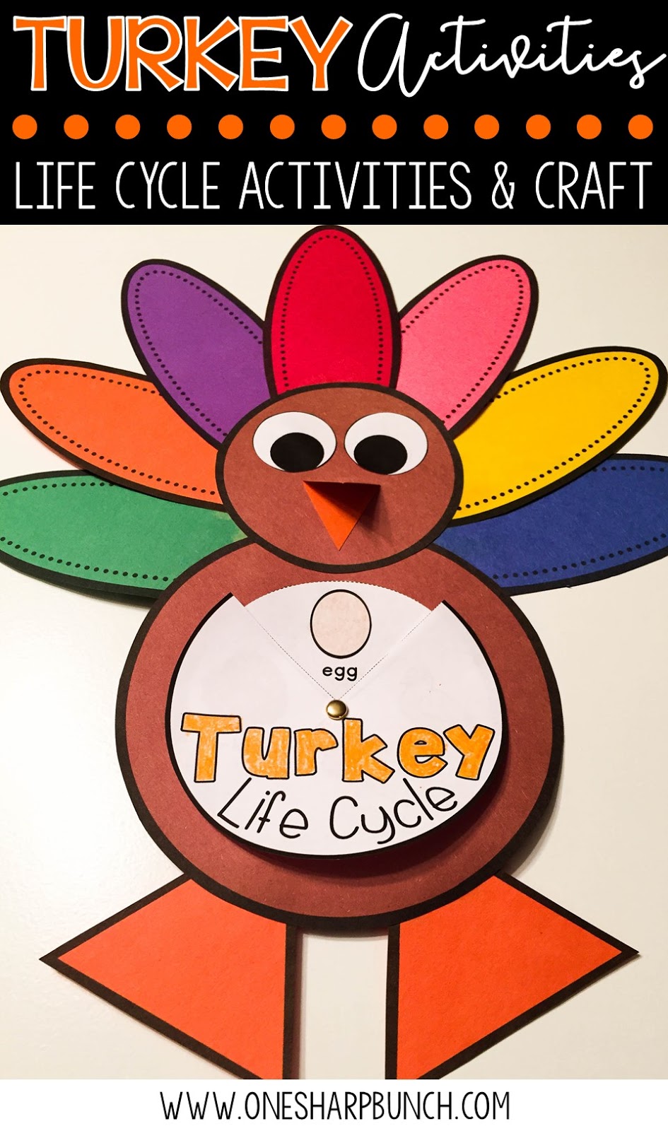Turkey Life Cycle Activities - One Sharp Bunch