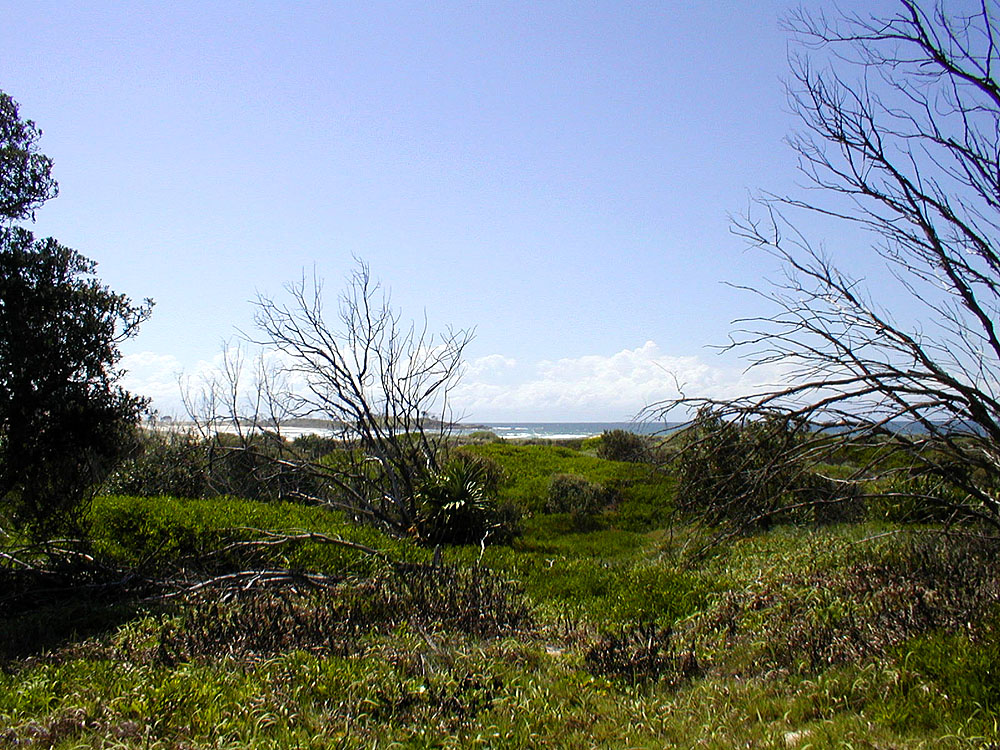 Days on the Claise: Iluka Beach