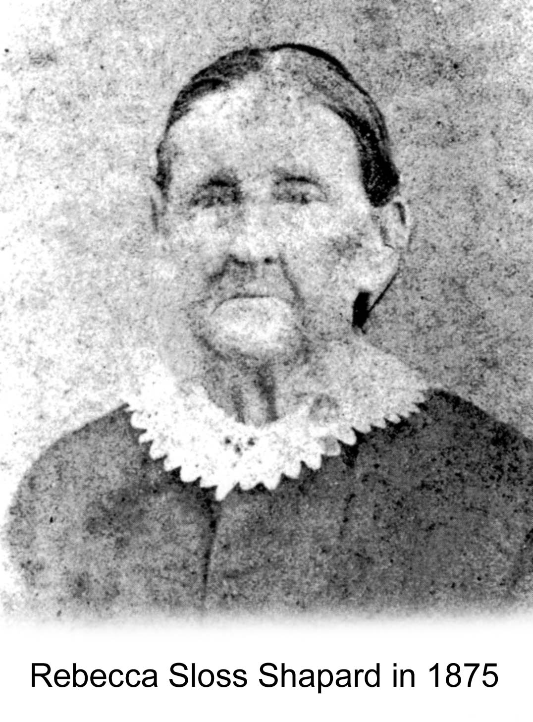 Shapard History: April 2020