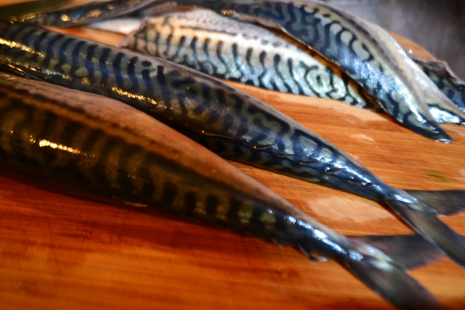 33 Degrees: Mariquita's Mackerel Meal with a Message.