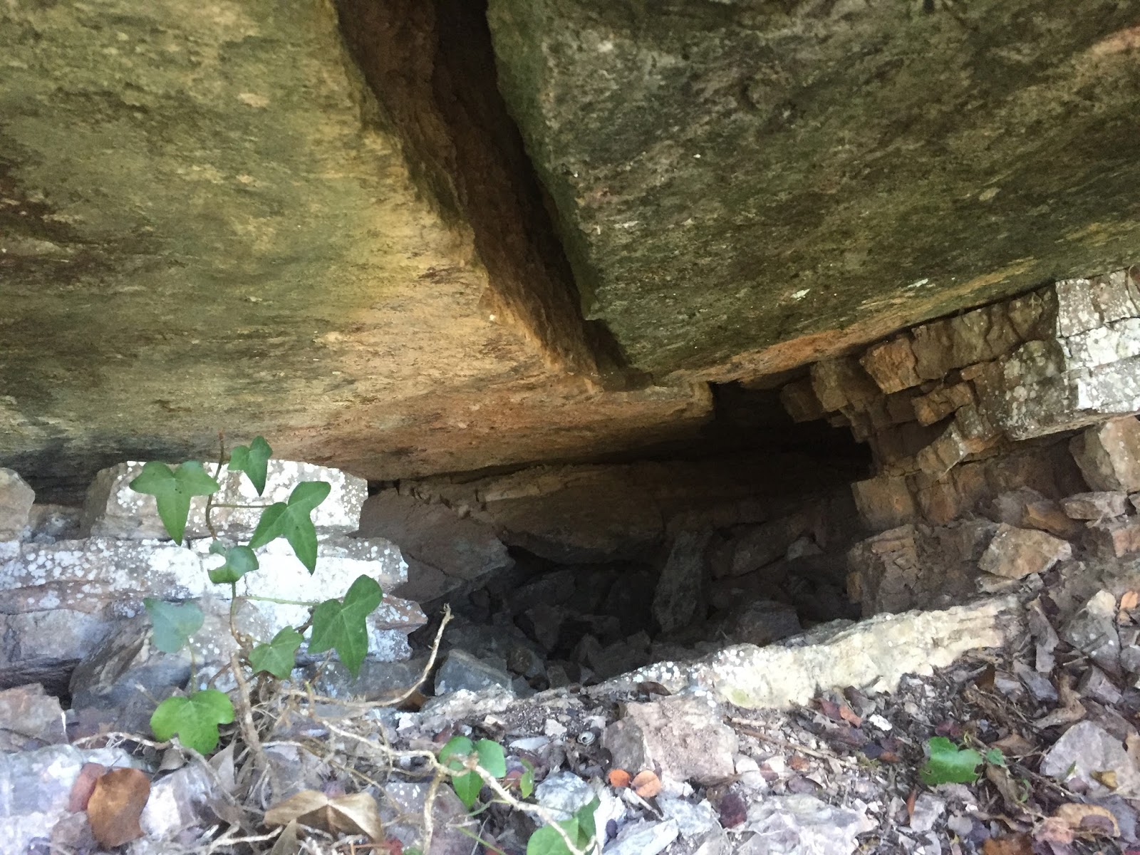 ROCAM ROGENC: EL XARAGALL DEL FOIO