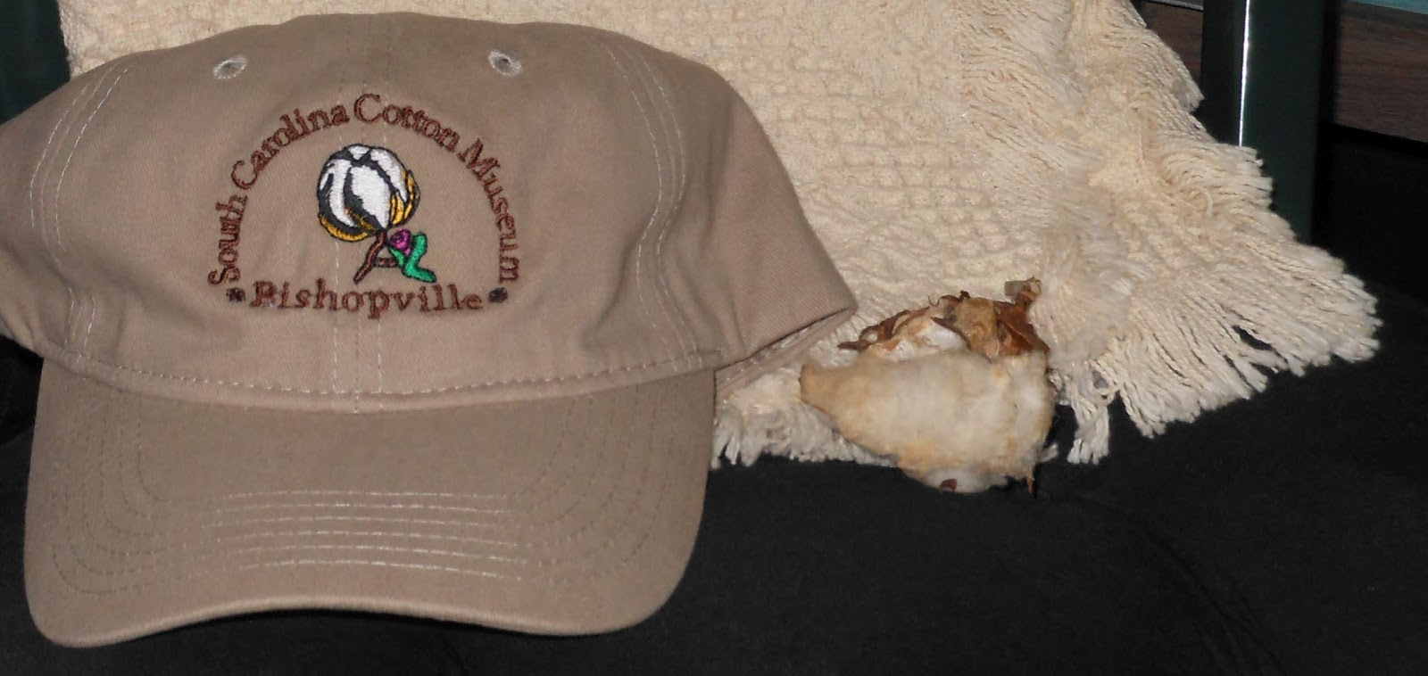 Timmber Wolf: Two, Count 'Em, Two Museums