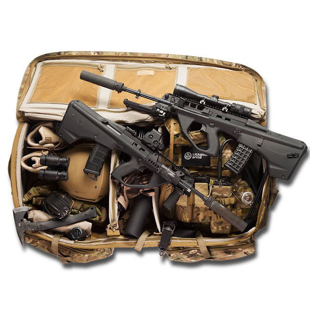 SI VIS PACEM, PARA BELLUM: Dallo Steyr Mannlicher AUG A1 al Thales F90 ...