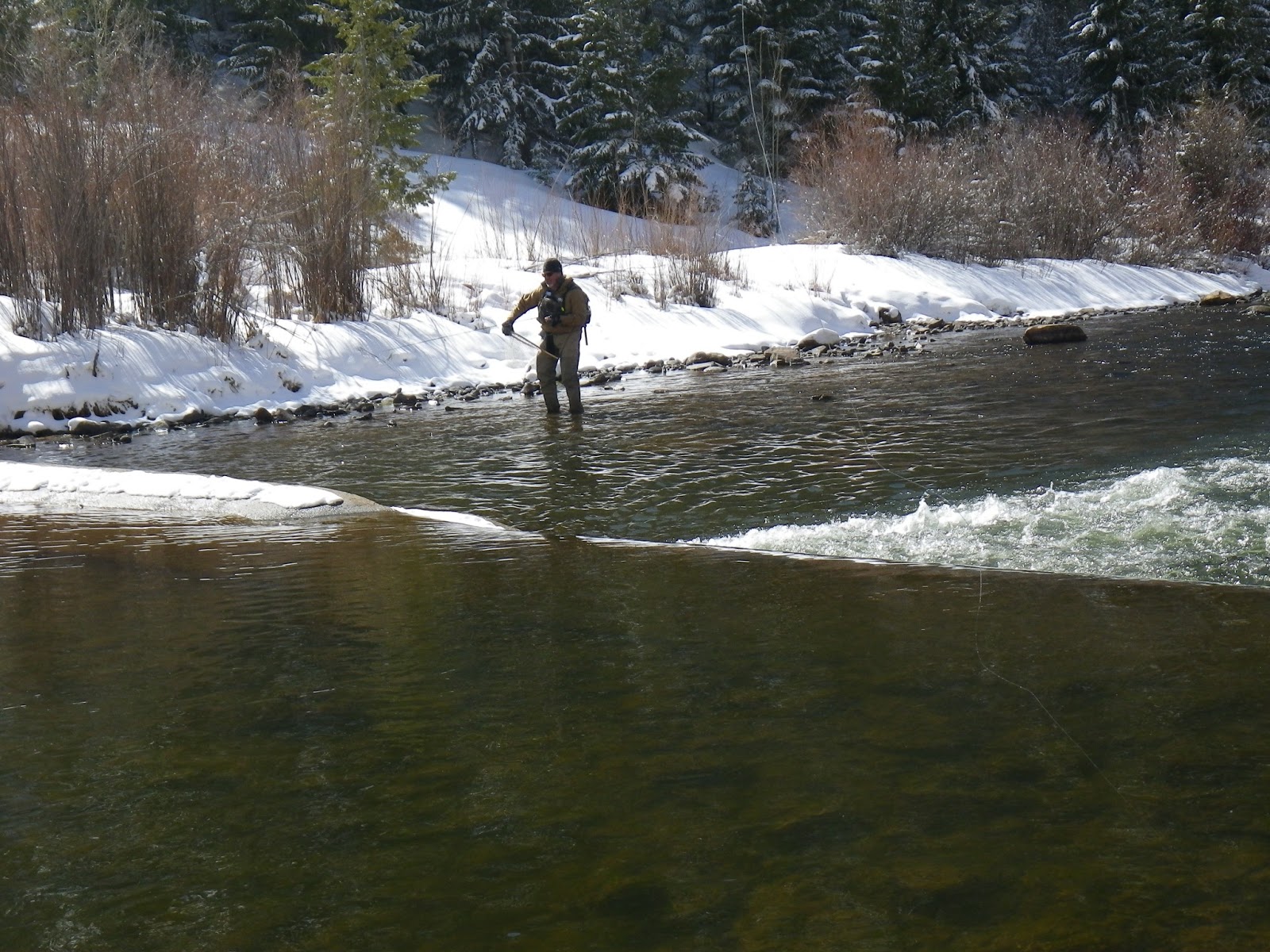 Wilson's Fly Fishing Adventures: Frying Pan River