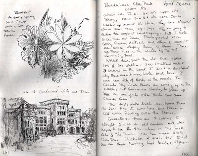 Kat Walk Designs: Nature Journal, Figure and sketch