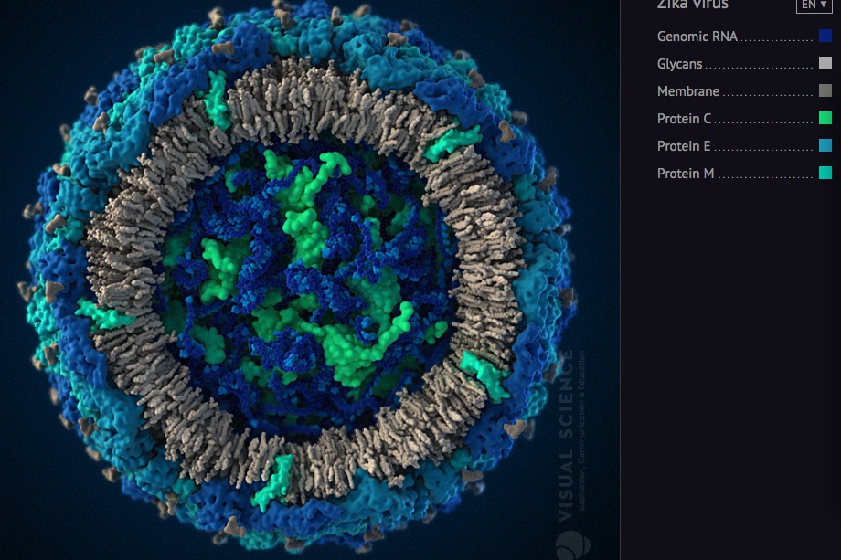 Alunar 3D Printer Blog: Using 3d printing neural scaffold for a new ...