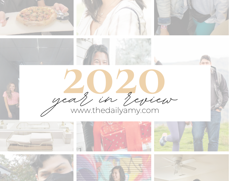 2020 Year in Review [ The Daily Amy ]