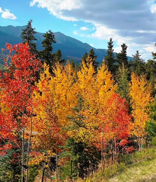GOING ON ADVENTURES: Autumn hiking in Breckenridge, Colorado