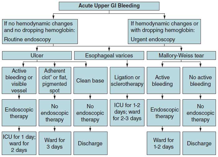 Emergency medicine gastrointestinal bleeding case file