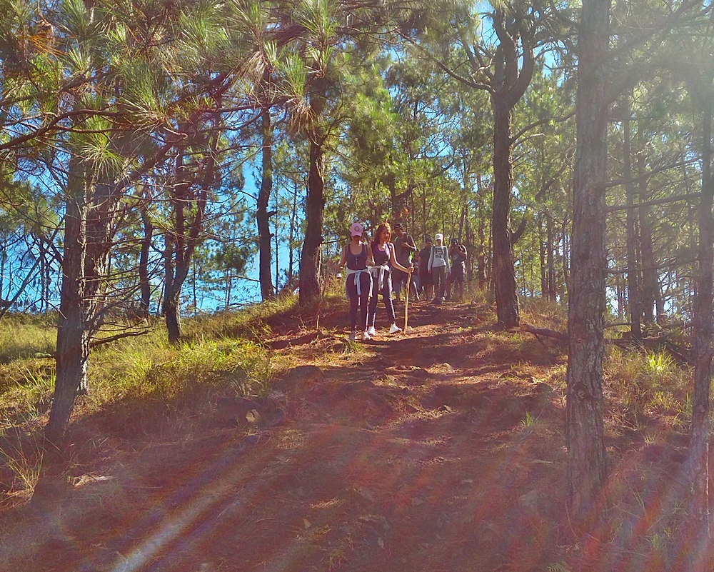 Hiking Mount Ulap at the Most Opportune Time - Nomadic Experiences