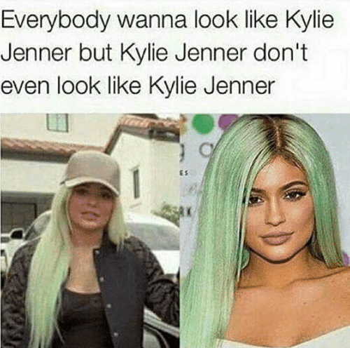 40 Funny Kylie Jenner Memes Will Blow Your Mind | 9GIG