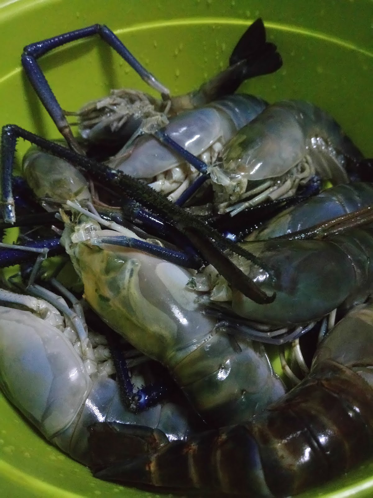 Beautiful Lie in a Beautiful Life: Sepit Biru & Buah Engkabang