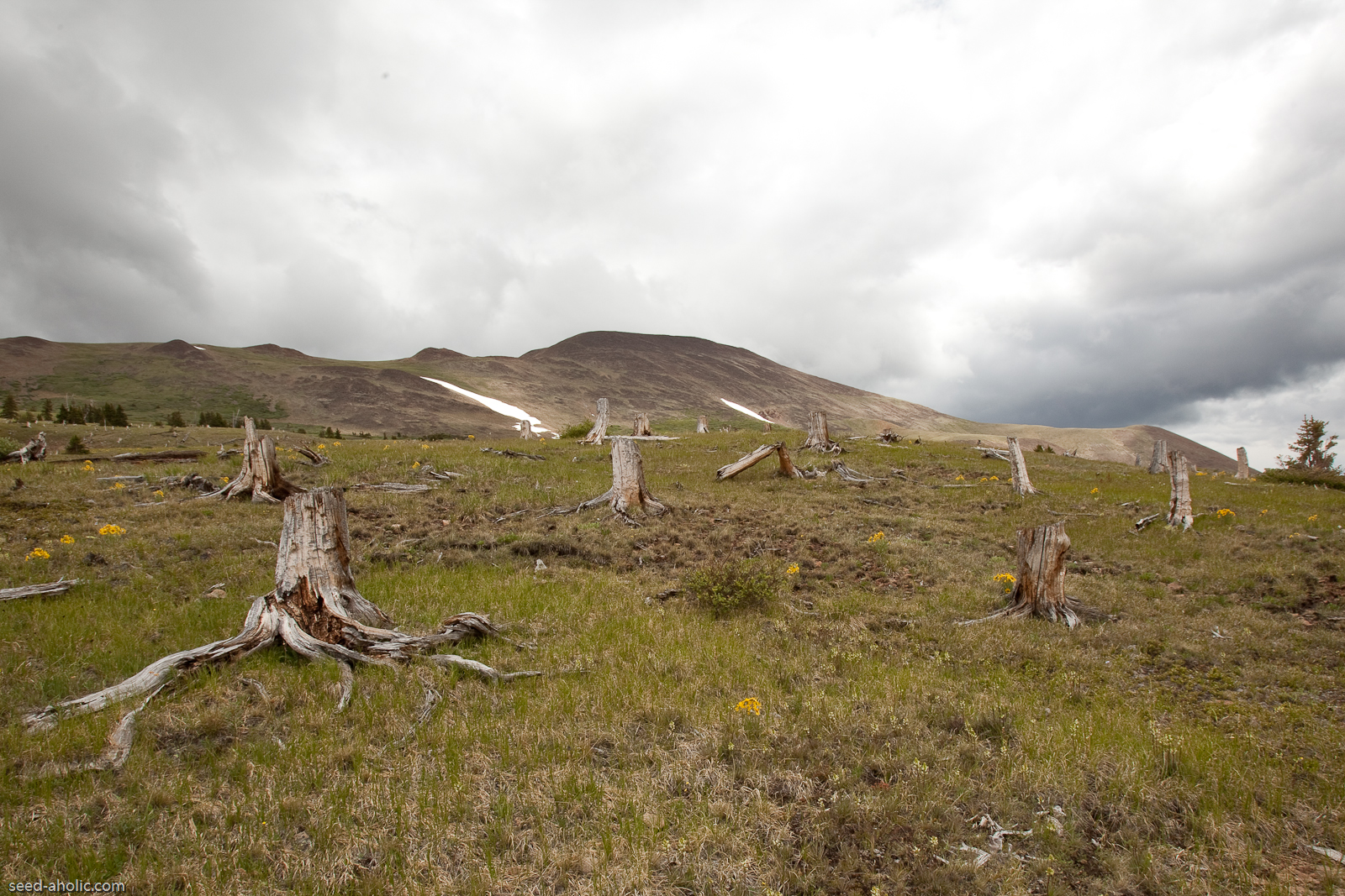 Colorado Day 10- Boreas page 3