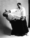 Blog de Artes Marciales por Felipe Cervantes Ruiz: Aikido y Atemi
