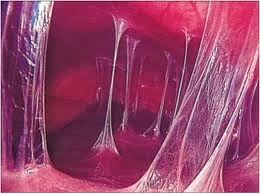 Medical Treatment Pictures-for Better Understanding: Fitz-Hugh-Curtis ...