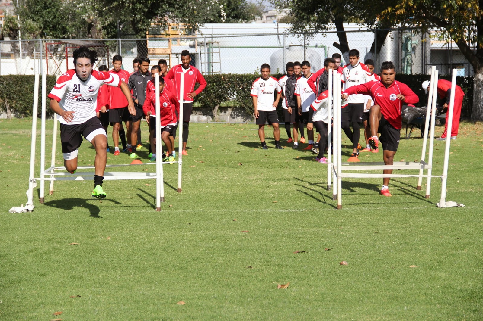 DeporPuebla: LOBOS BUAP UN EQUIPO QUE COMBINA LA JUVENTUD CON LA ...