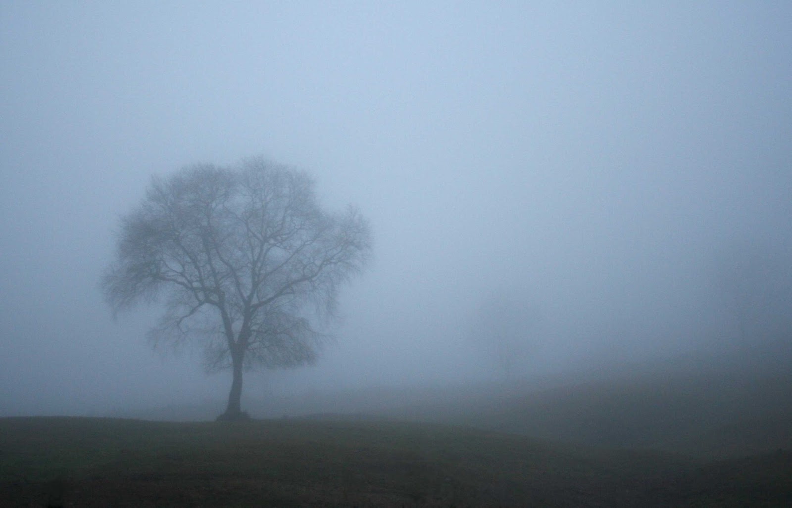 Cosas que pasan: El motivo de la niebla