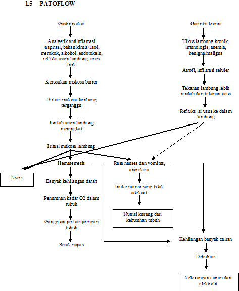 PATOFLOW: PATOFLOW GASTRITIS