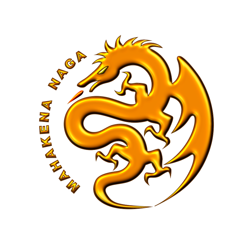 Naga Smiles To The World Logo