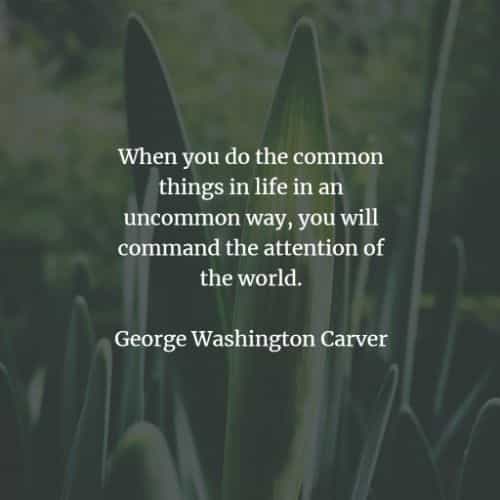 66 Little things in life quotes to appreciate small things