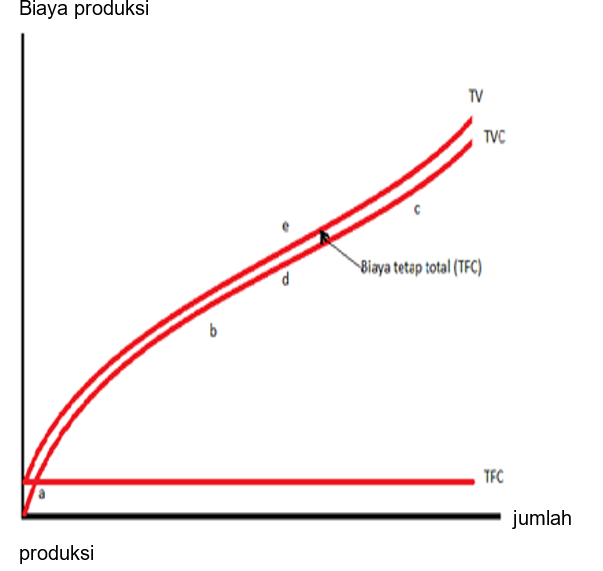 Selsa Noviyanti: Bab 11 Teori Produksi Jangka Pendek dan Jangka Panjang