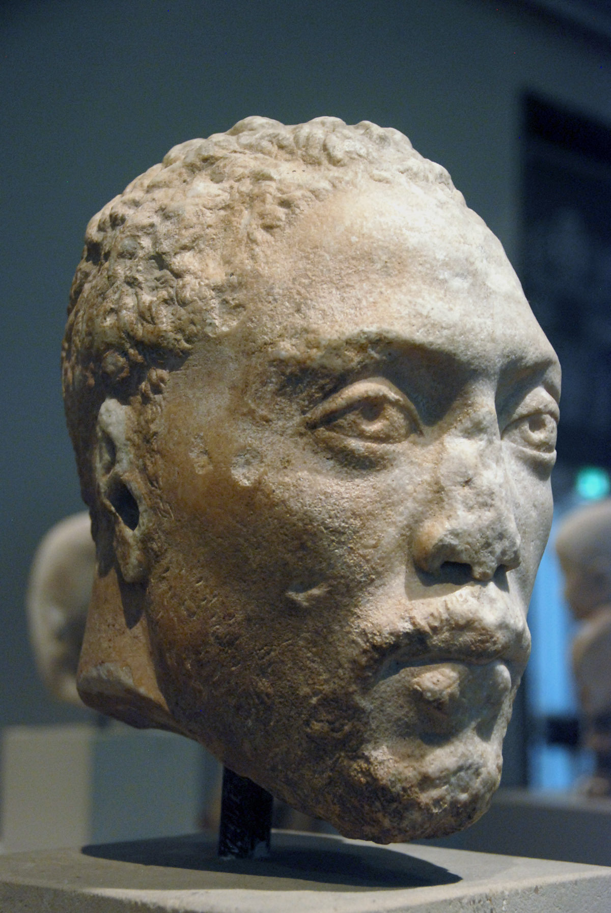 Cup3Tint3: Portrait of Memnon