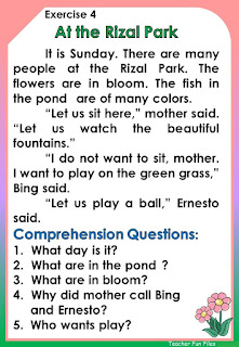 Teacher Fun Files: Reading Passages with Comprehension Questions