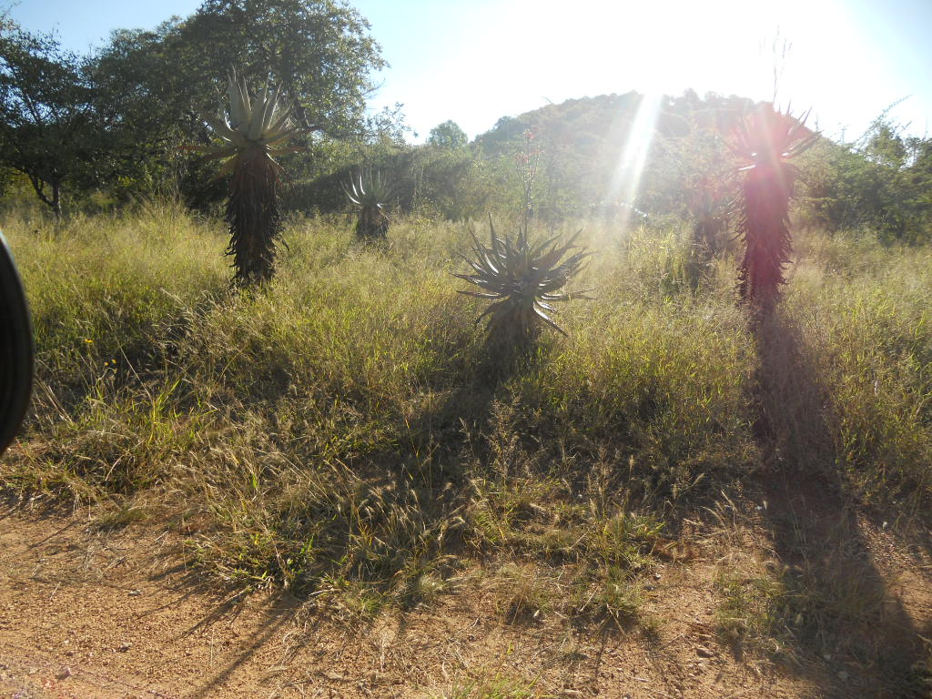 Beautiful Botswana: Gabane Village