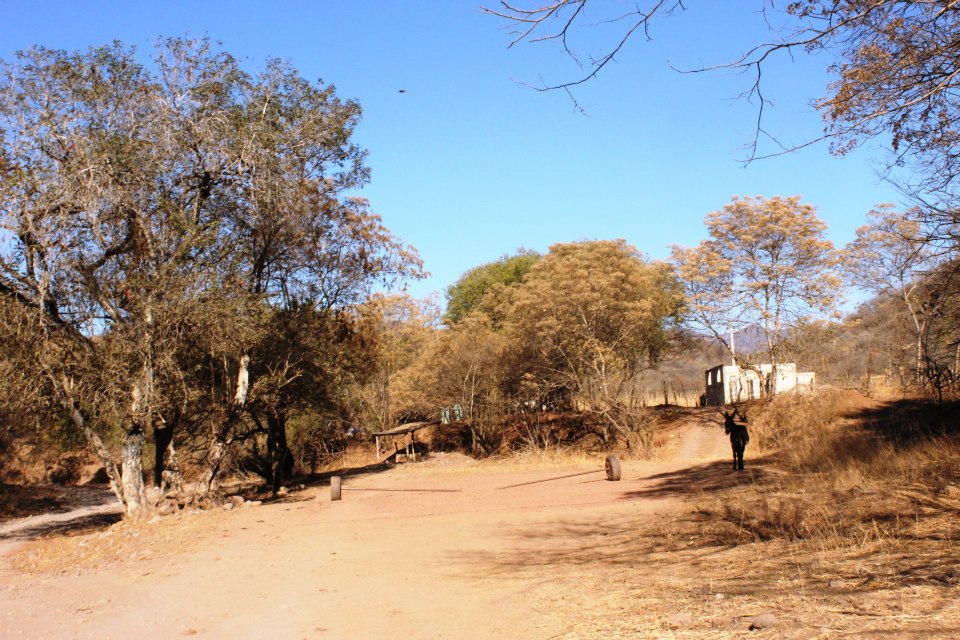Cuirigineo, La Quiringuca y Las Parotas del Terrero, Michoacán ~ Tierra ...