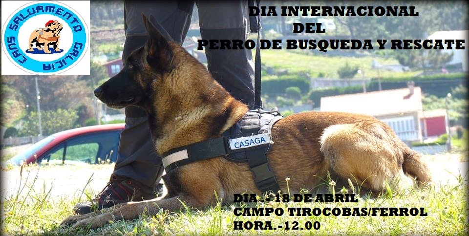 CA.SA.GA PERROS DE RESCATE: DÍA INTERNACIONAL DEL PERRO DE BÚSQUEDA Y ...