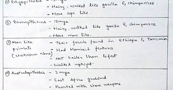 EVOLUTION -BIOLOGY CLASS 12