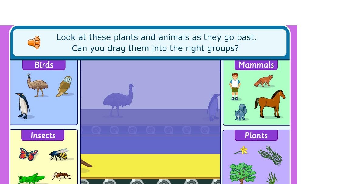 Let's learn English!: PRIMARY 3. ANIMALS!