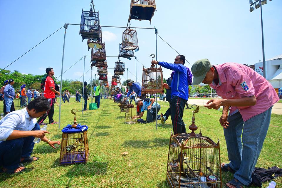 Janine Art Exhibition: งานมหกรรมแข่งขันนกเขาชวาเสียงอาเซียน:ASEAN ...